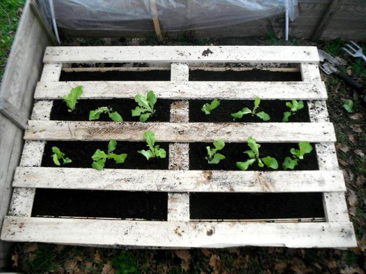 DIY Pallet Vegetable Garden - Pallets Pro