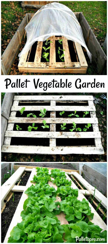 DIY Pallet Vegetable Garden - Pallets Pro